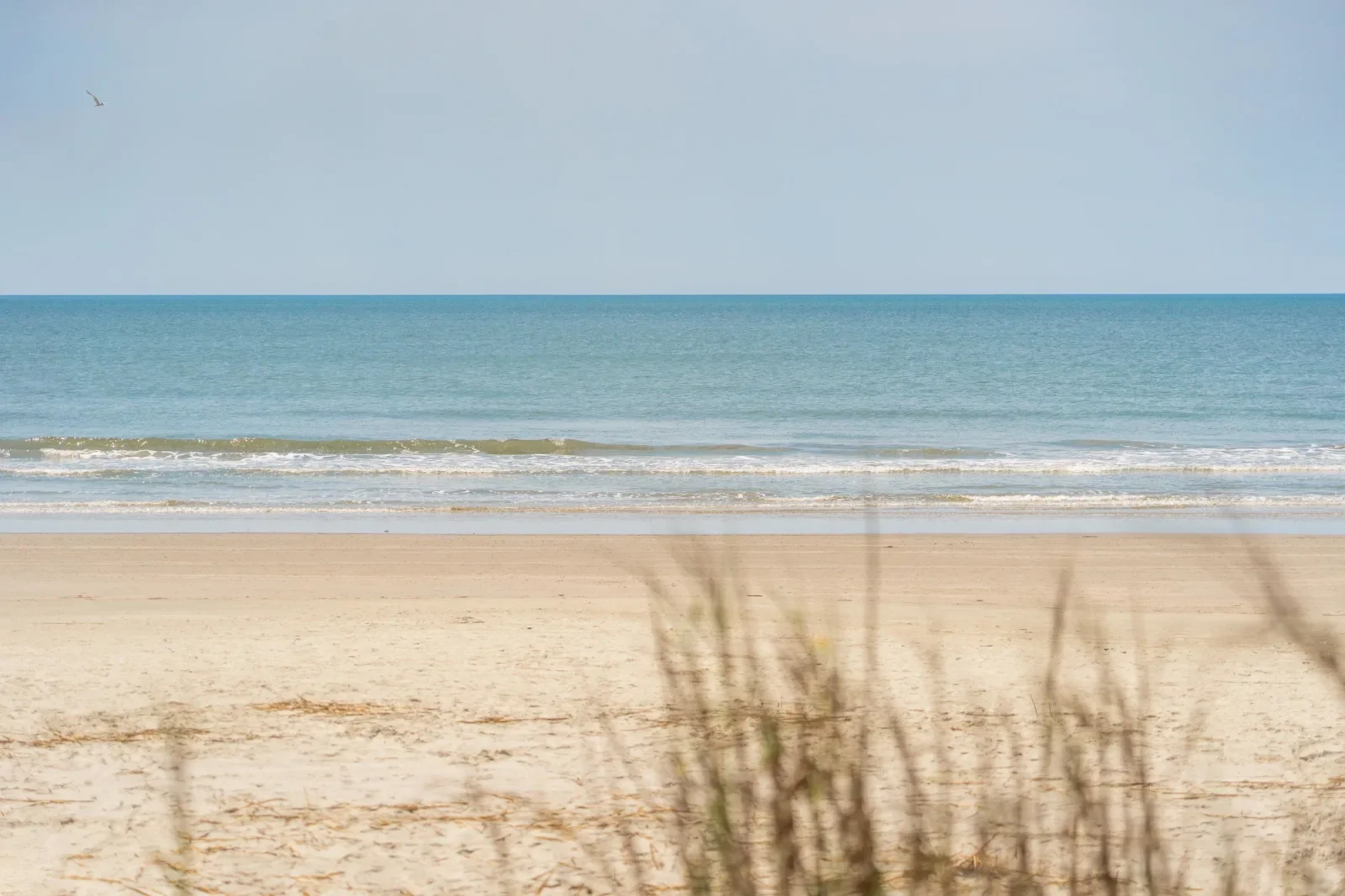 Kiawah Beachfront Rentals: A Honest 2026 Guide - Kiawah Island Getaways